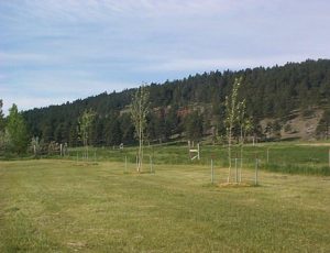 Camp Map - Katmandu RV Park & Campground